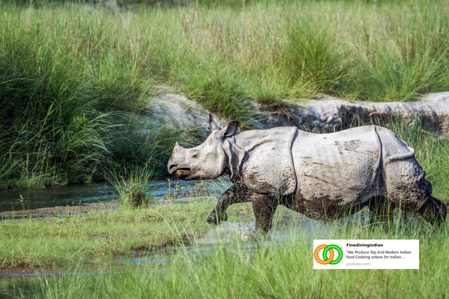 Assamese Magic rice which doesnt need cooking best Indian rice